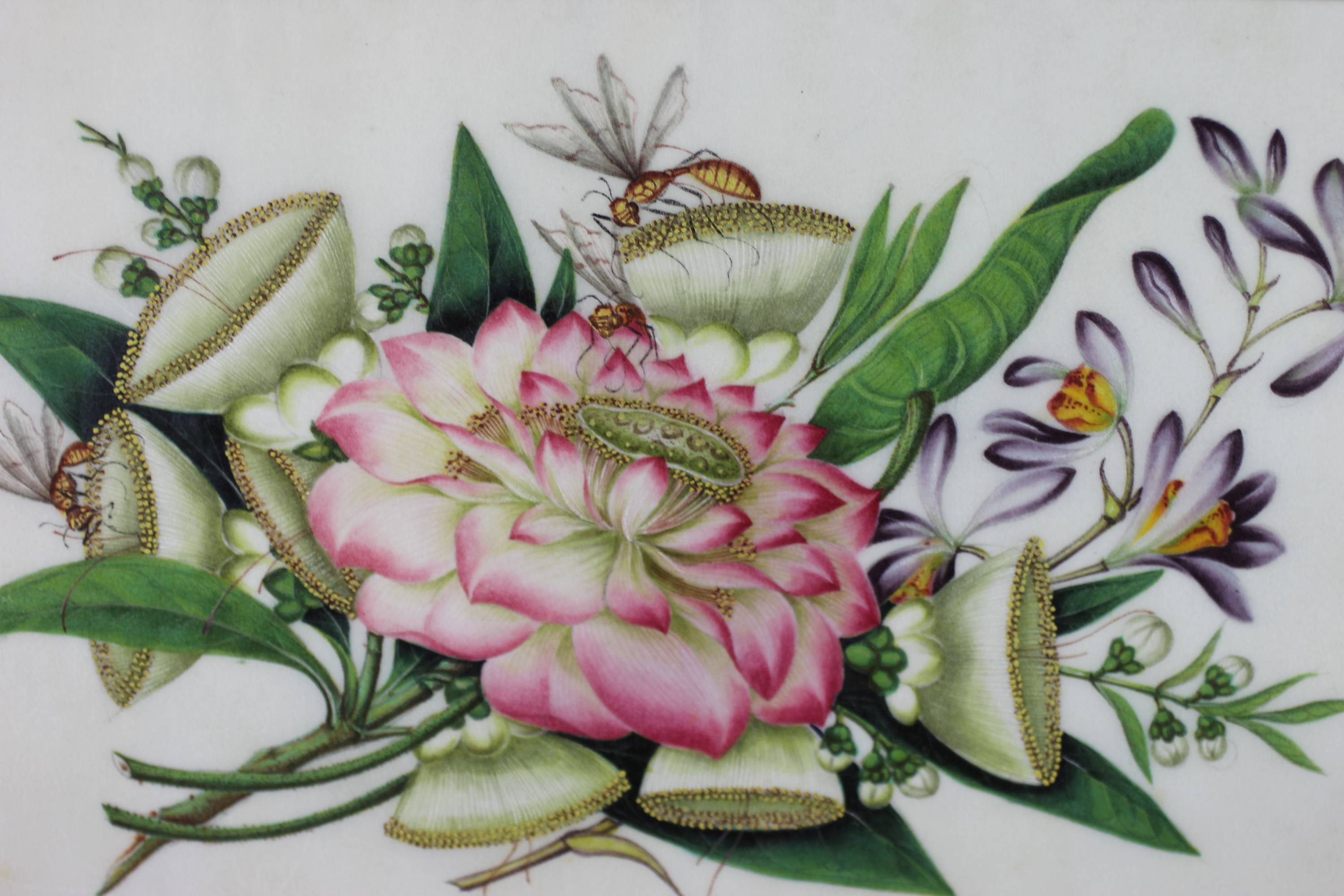 Kangxi